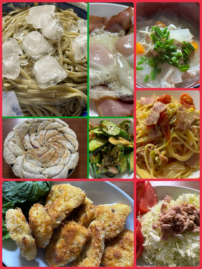 営業所ニュース - 有限会社シナリーセピア