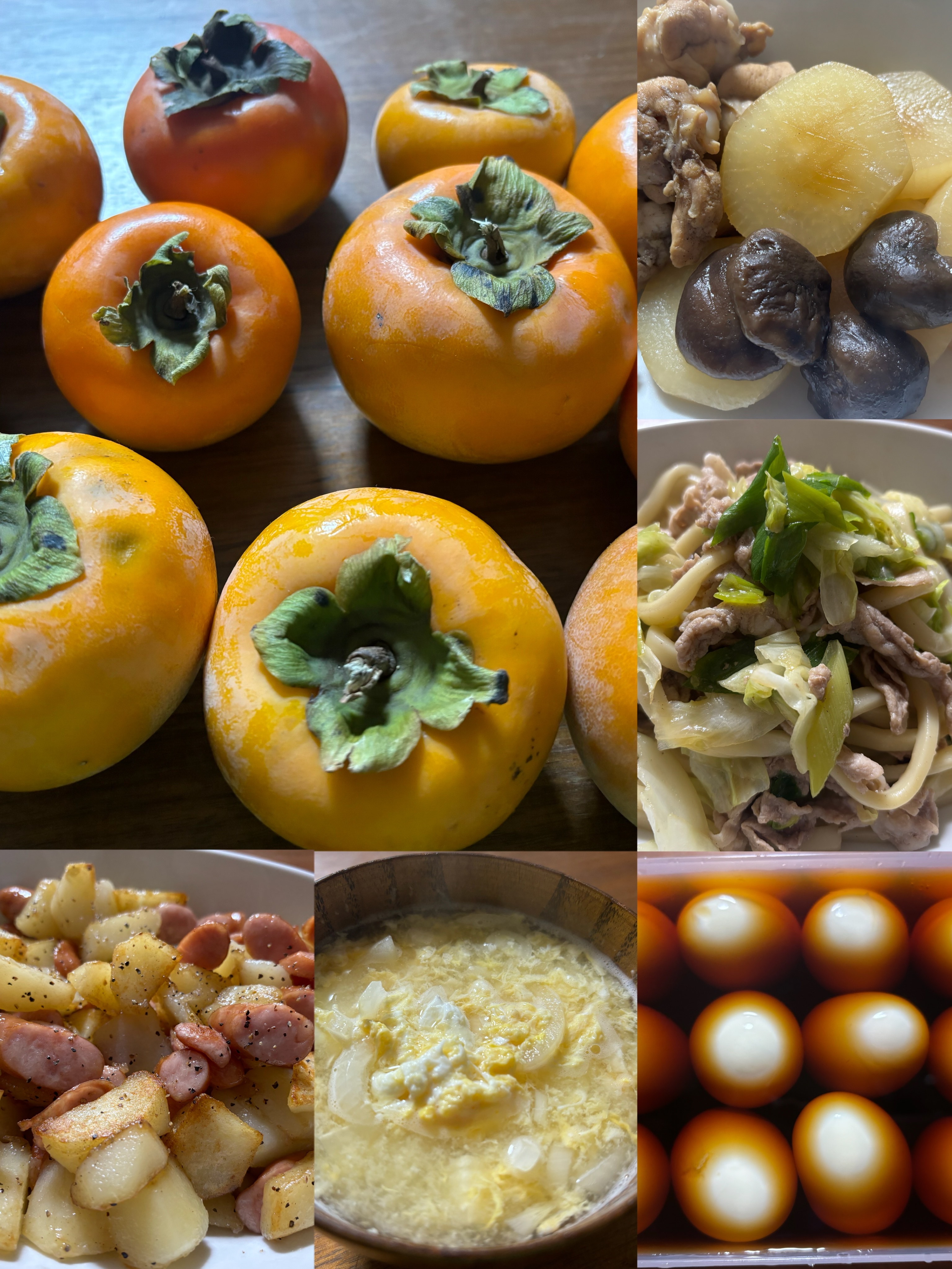 営業所ニュース - 有限会社シナリーセピア